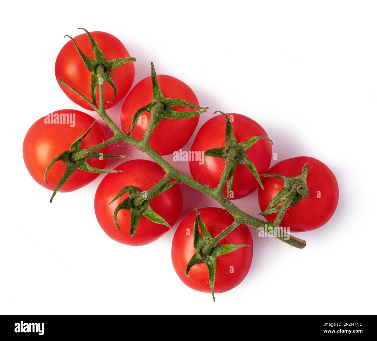 Tomato branch isolated on white background Stock Photo - Alamy