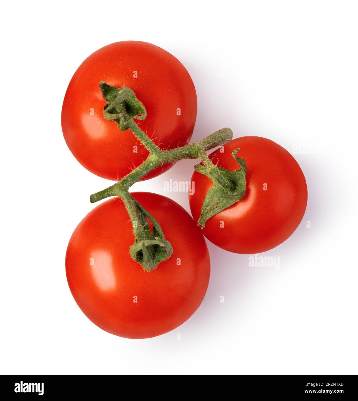 Tomato branch isolated on white background Stock Photo - Alamy
