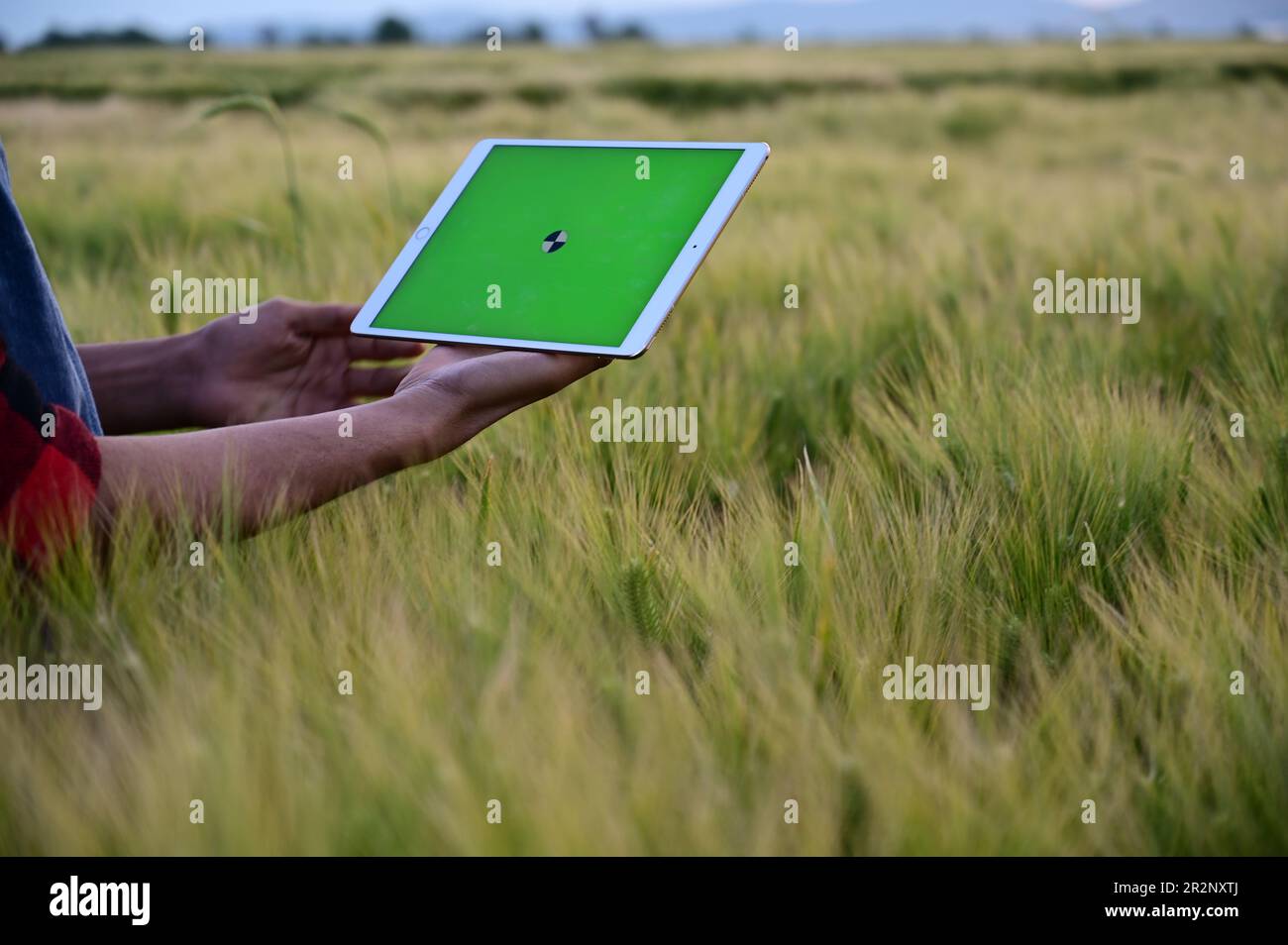 Man using tablet at field. Future of Agriculture: The New Face of ...