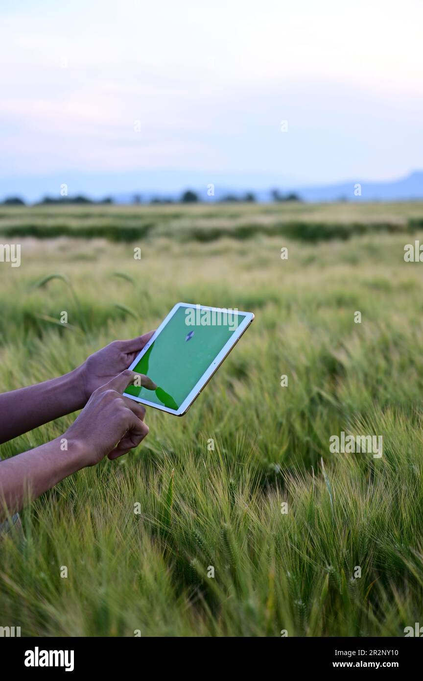 Man using tablet at field. Future of Agriculture: The New Face of ...