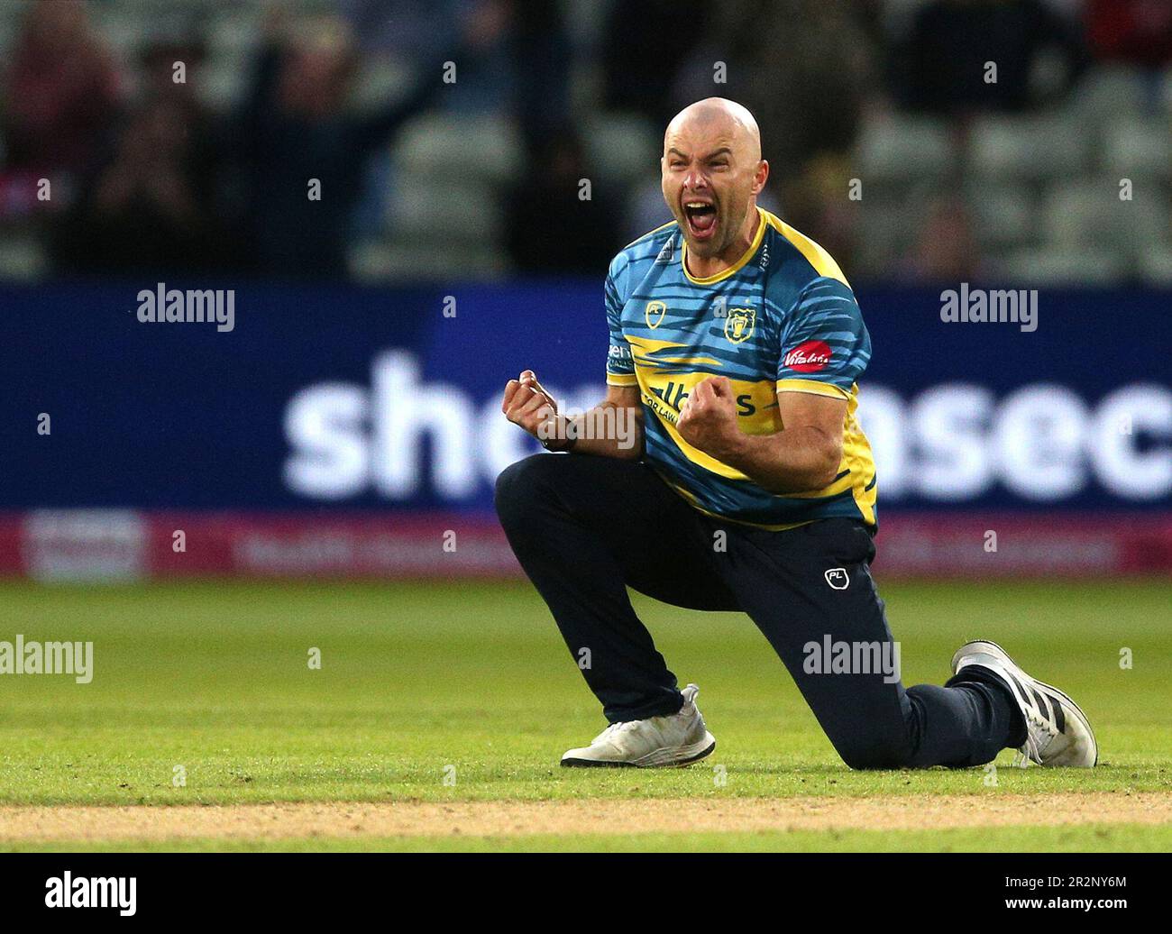 Lintott bears hi-res stock photography and images - Alamy