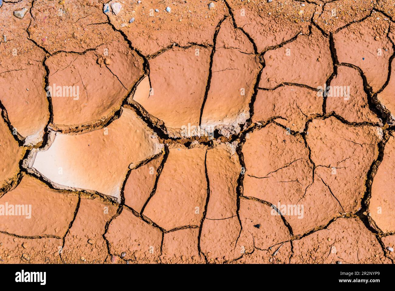 Dry soil in the time of drought. Precipitation deficiency Stock Photo ...