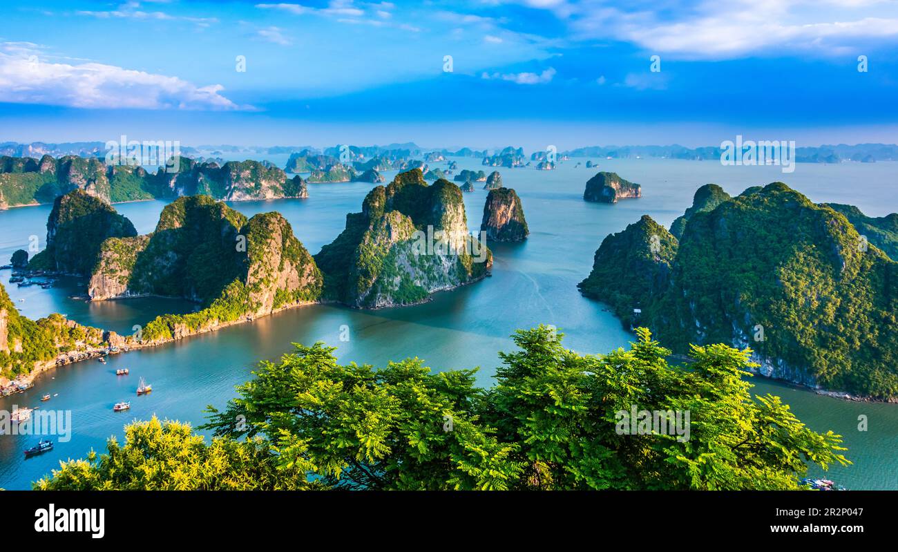 Panoramic view of Ha Long Bay, Vietnam Stock Photo - Alamy
