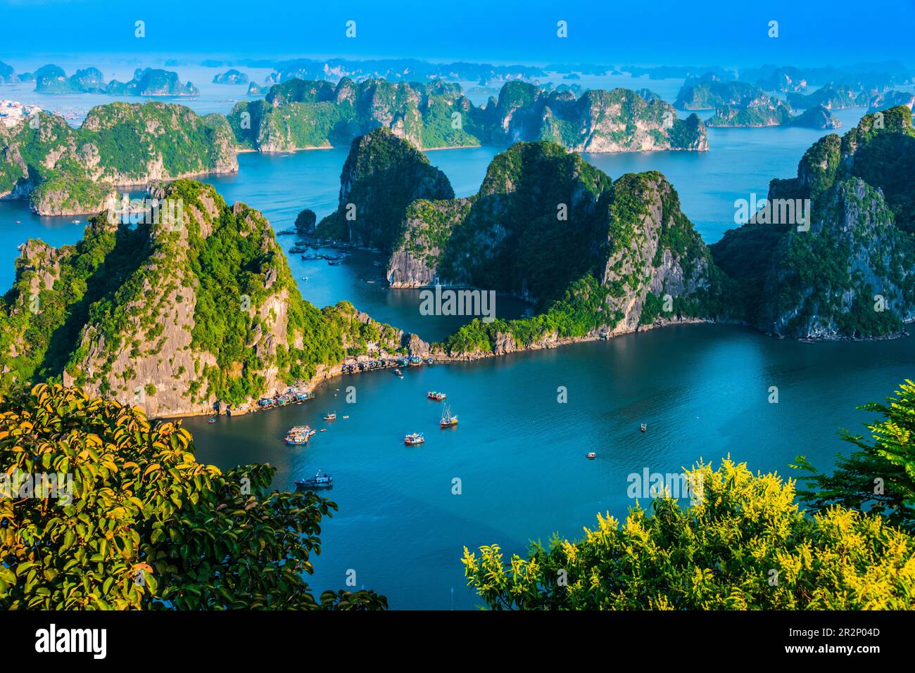 Panoramic view of Ha Long Bay, Vietnam Stock Photo - Alamy