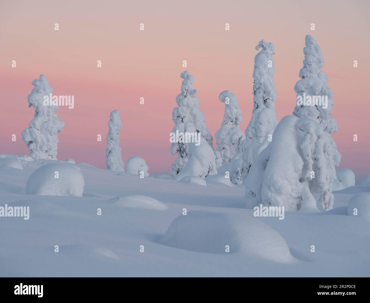 Luosto national park hi-res stock photography and images - Alamy