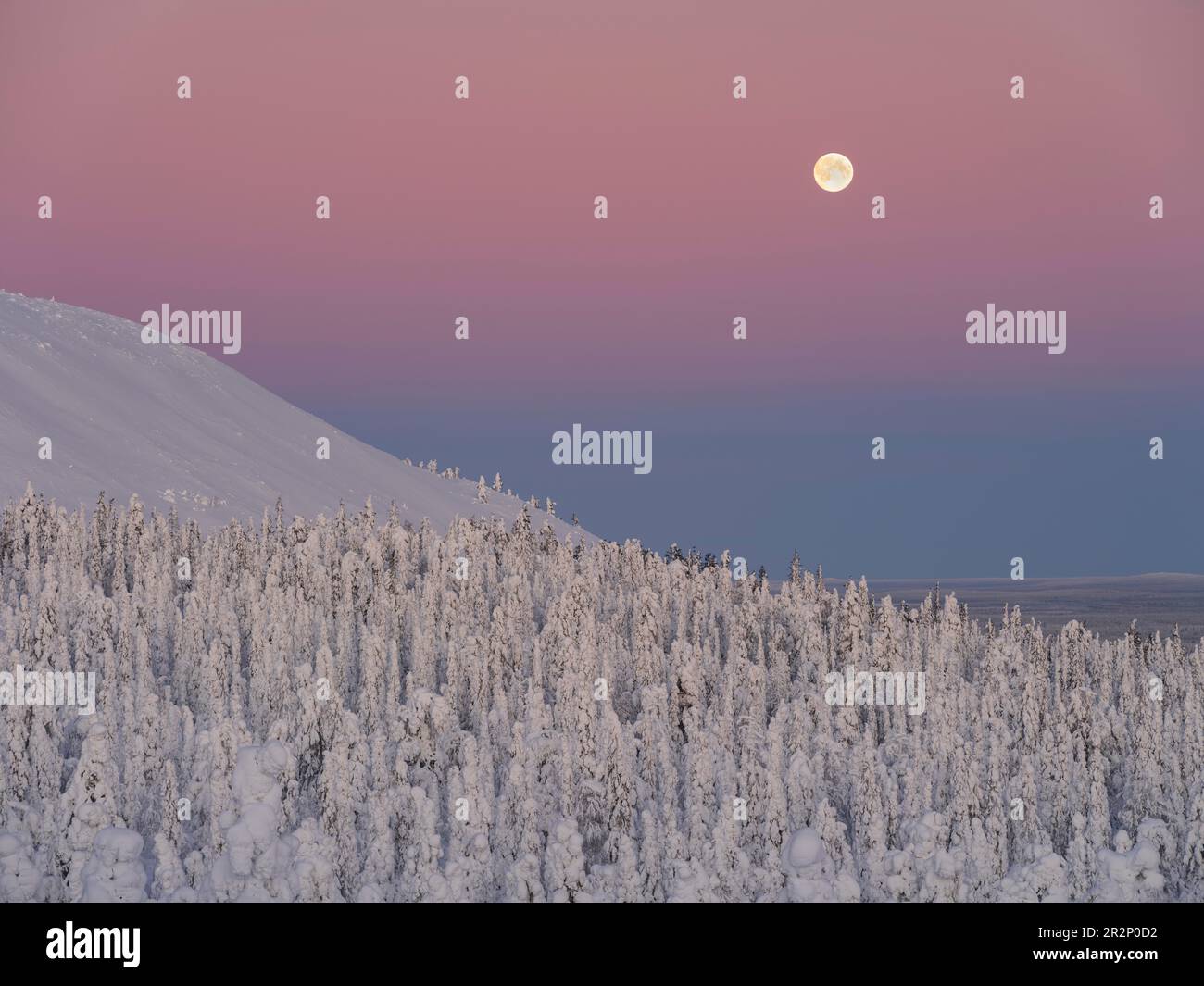 Full moon with day-night boundary over Luosto, Finland Stock Photo - Alamy