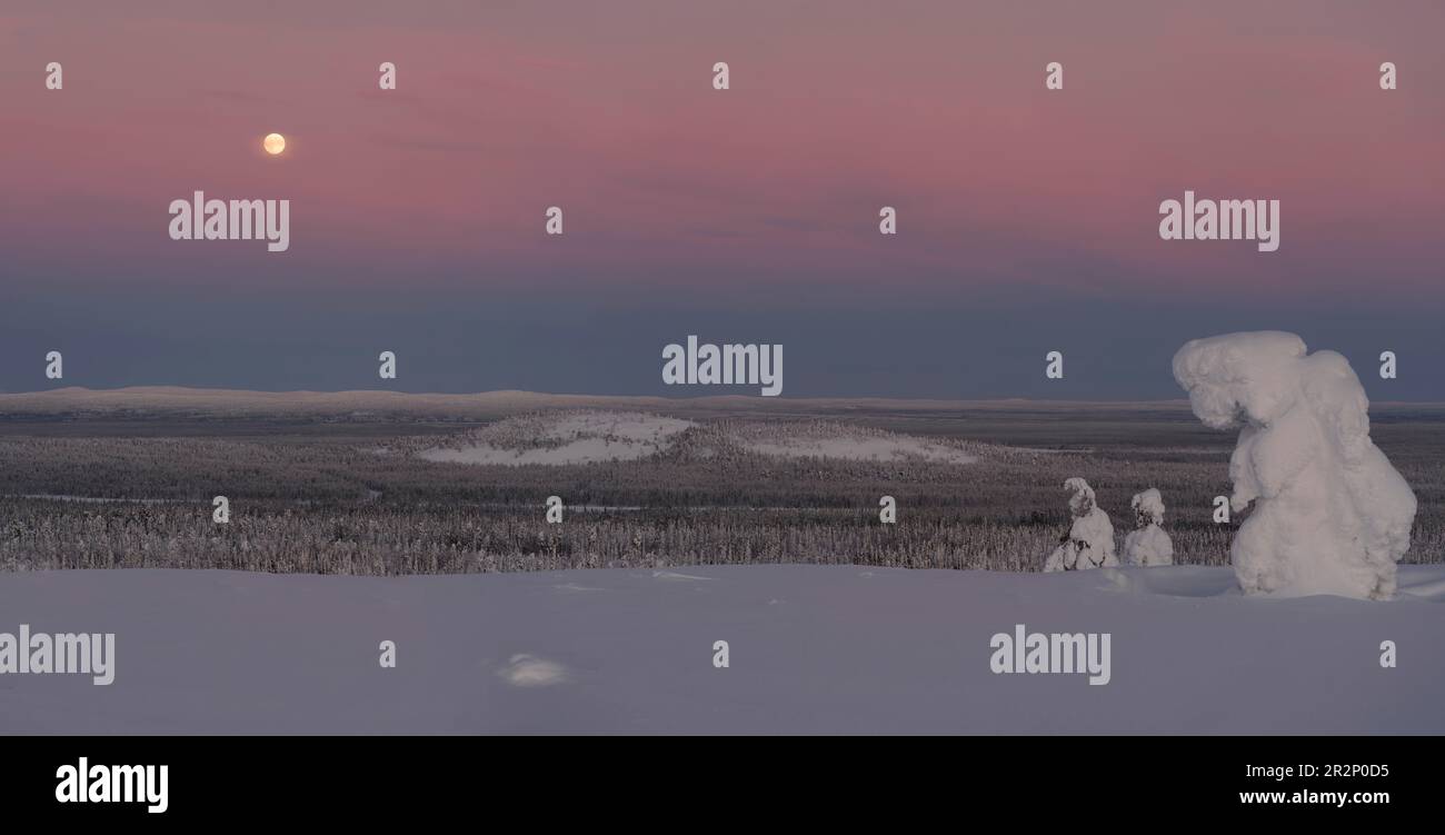 Full moon with day-night boundary and snow-covered trees over Pyhae ...