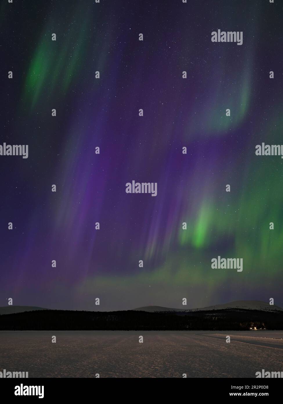 Northern lights (aurora borealis) with extremely rare blue ...