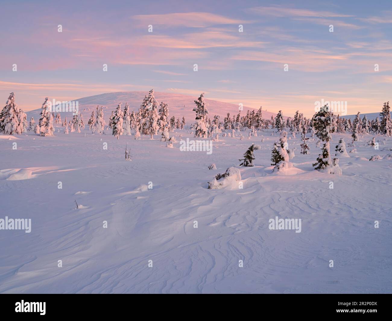 Morning atmosphere in wintry Pallas-Yllaestunturi National Park ...