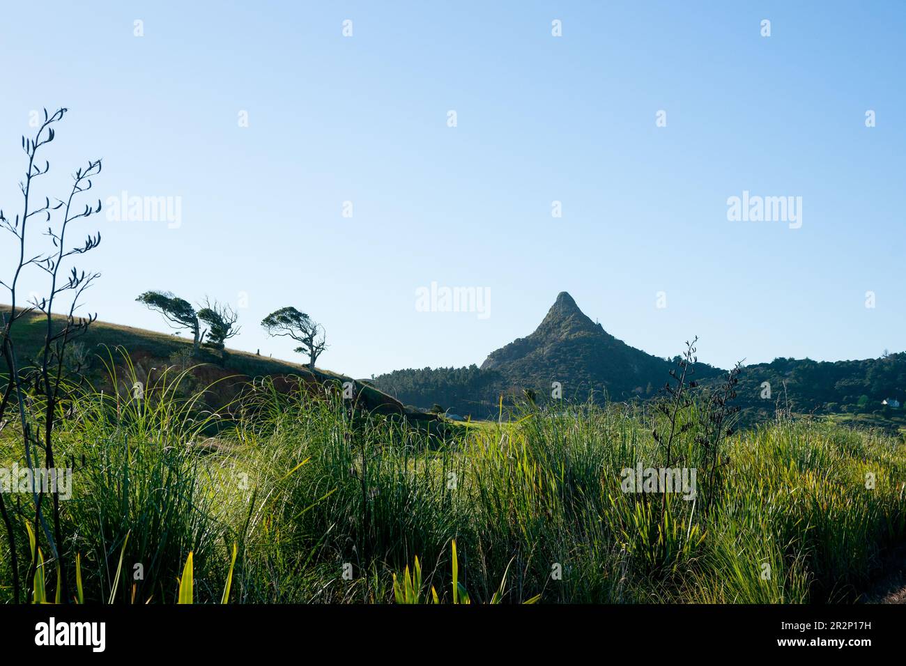 Tokatoka peak hi-res stock photography and images - Alamy