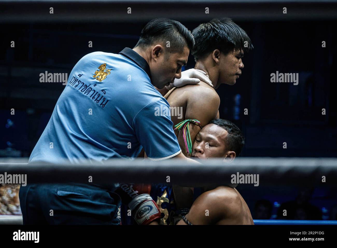 A referee is seen counting out after a Muay Thai boxer is knocked down ...