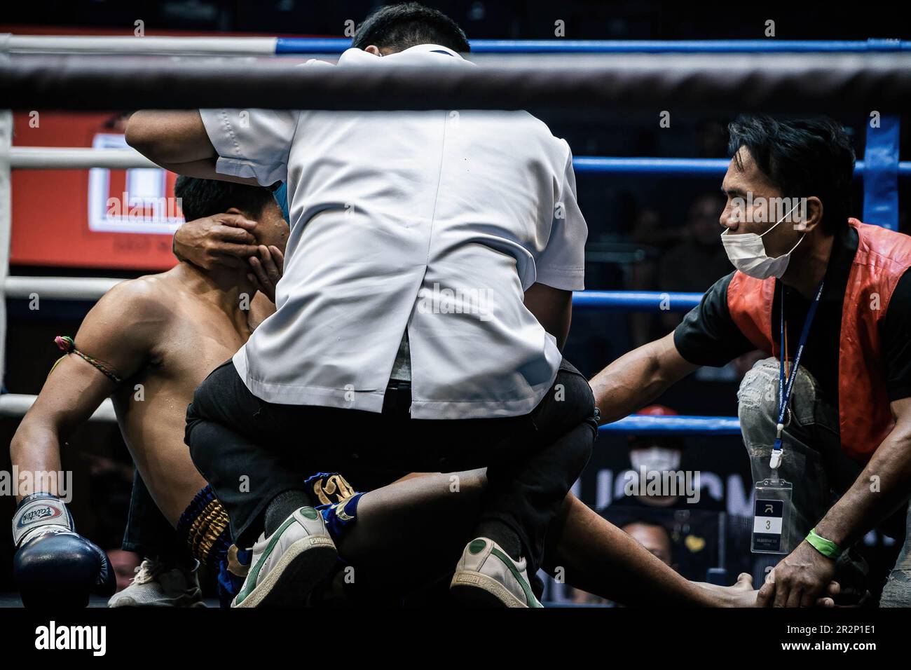 A ring doctor seen checking out a Muay Thai boxer who is knocked down ...