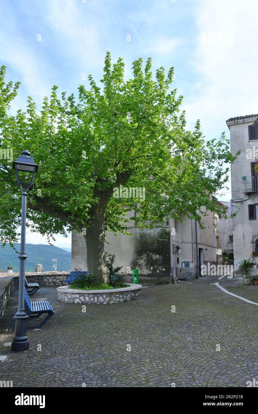 A narrow street of Macchia d'Isernia, a medieval village in the ...