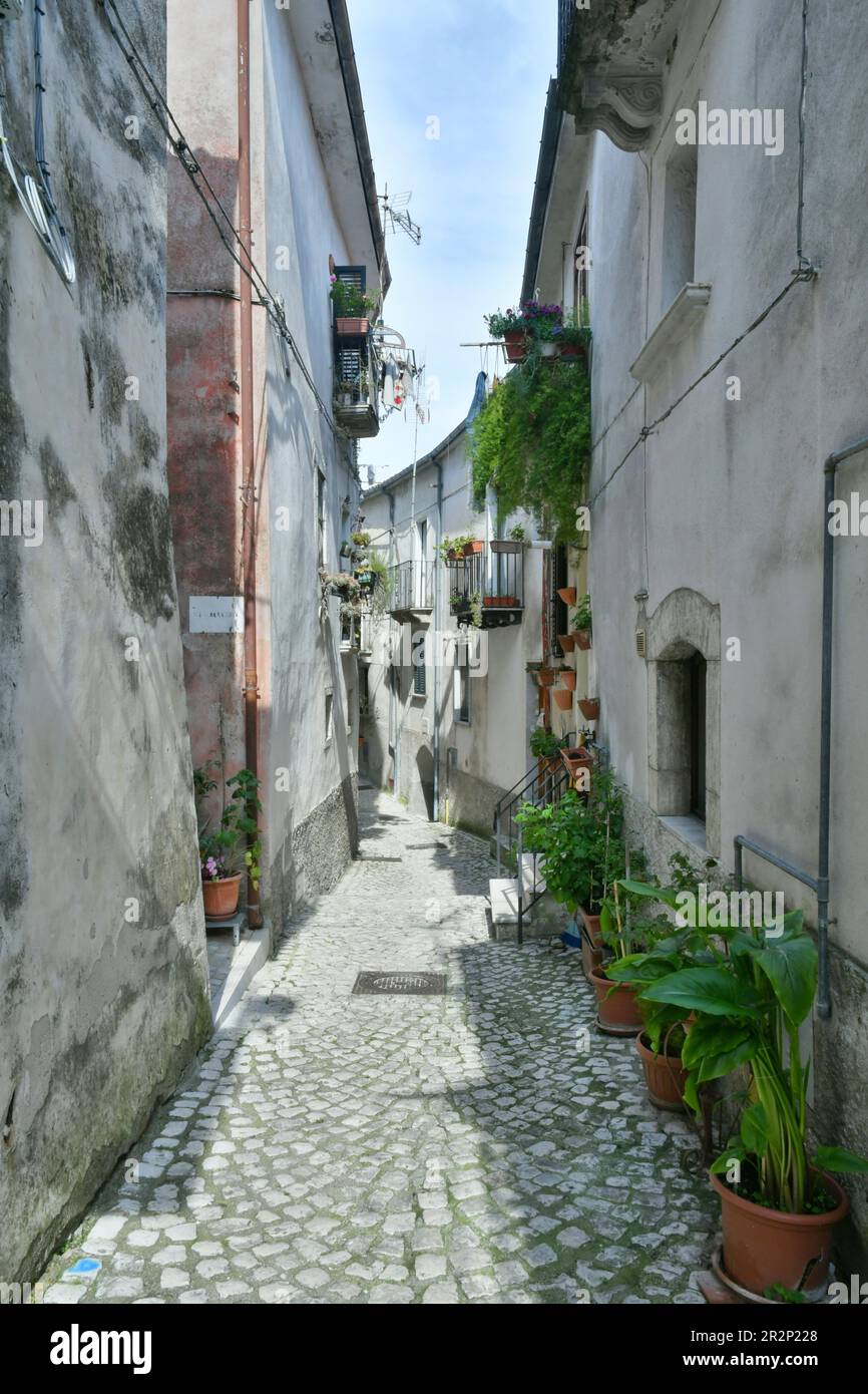 A narrow street of Macchia d'Isernia, a medieval village in the ...
