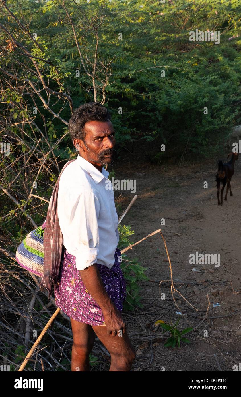 Goatherd in india hi-res stock photography and images - Alamy