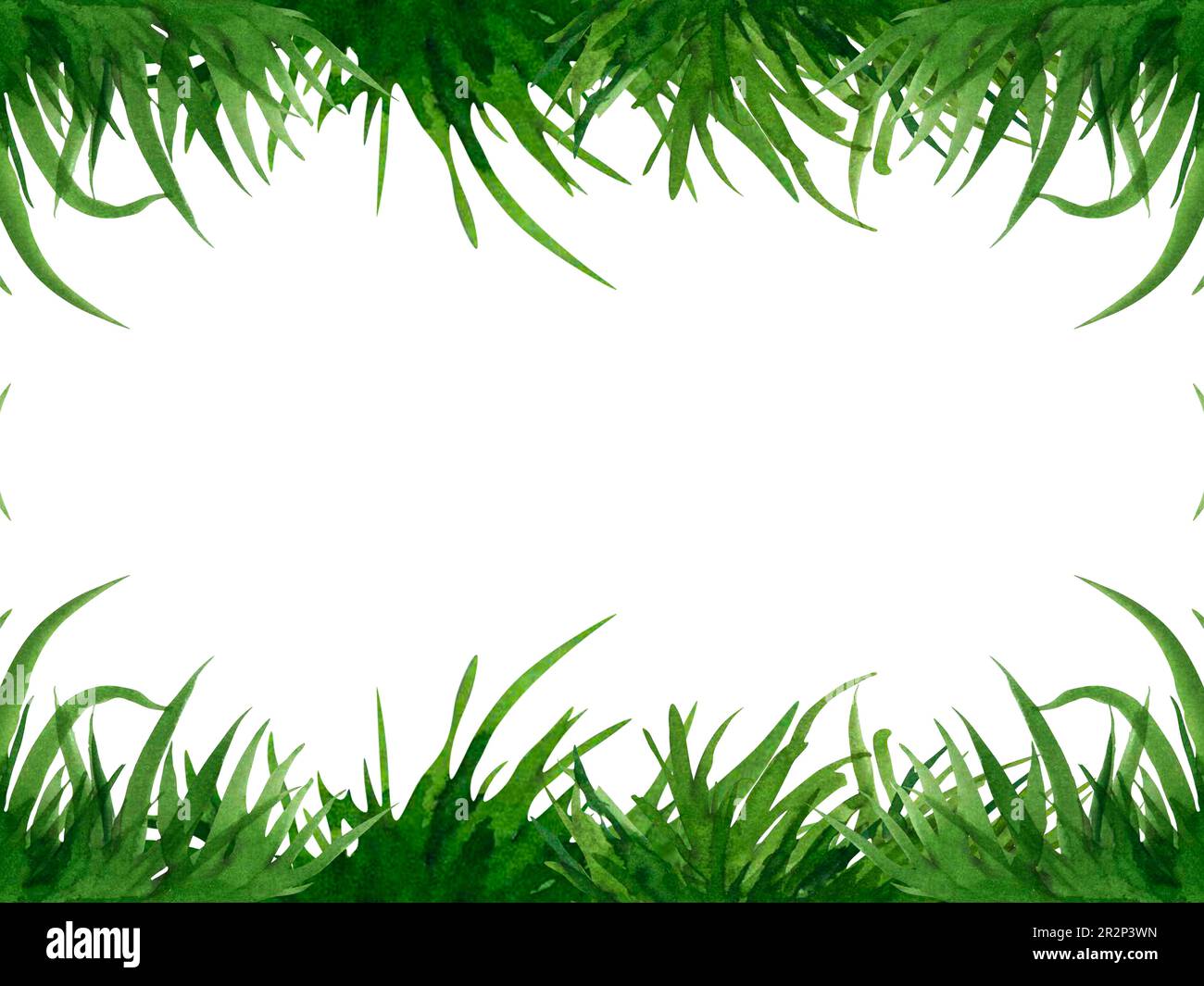 Watercolor hand drawn illustration banner fresh green grass isolated on ...
