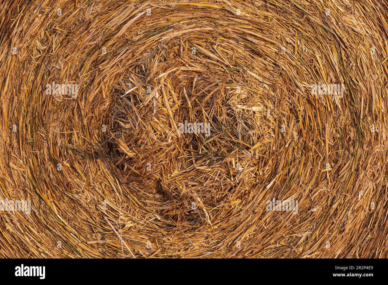 image filling close up of straw roll as texture, background Stock Photo ...