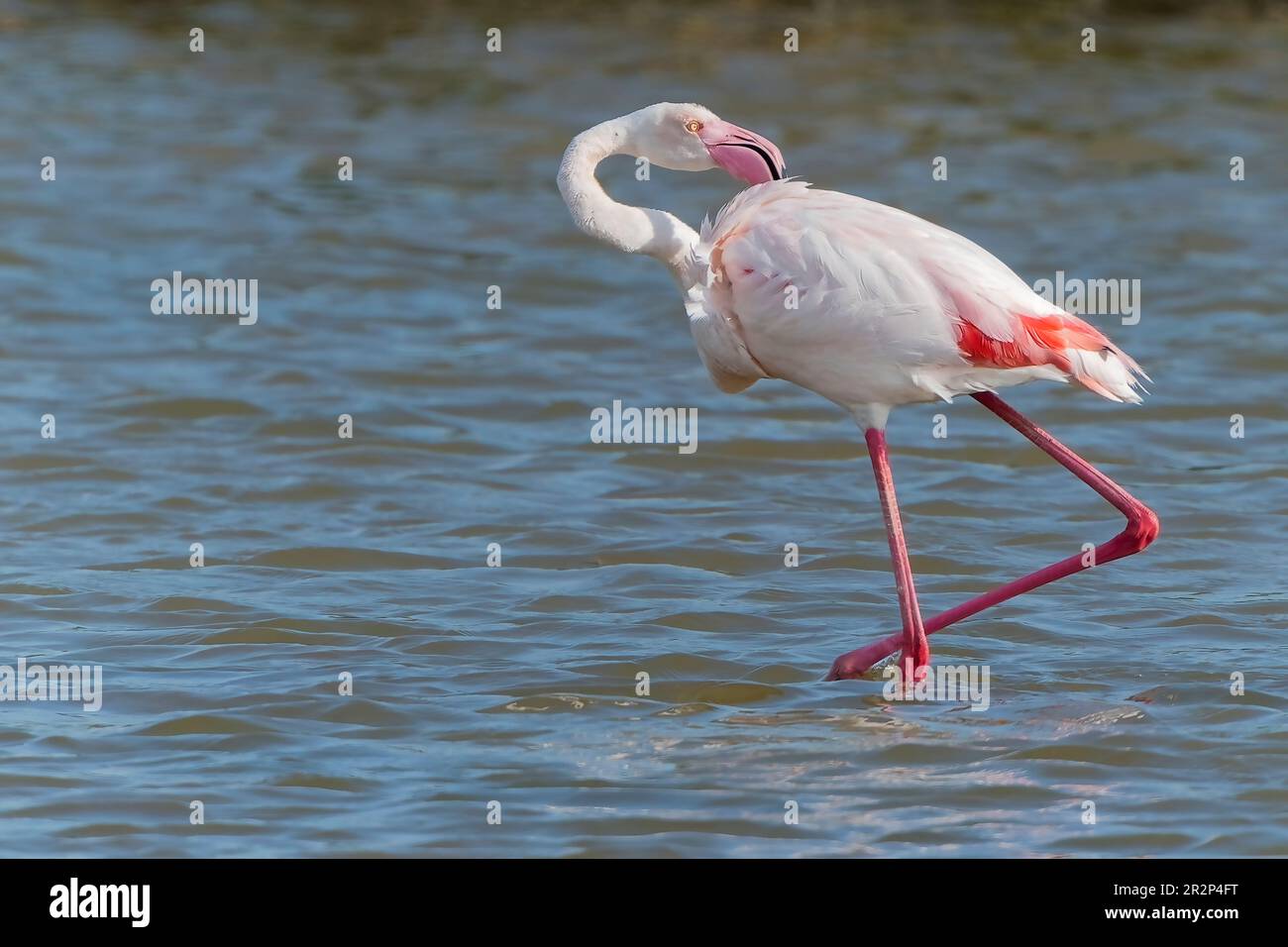 Standing watching sleeping bed hi-res stock photography and images - Alamy