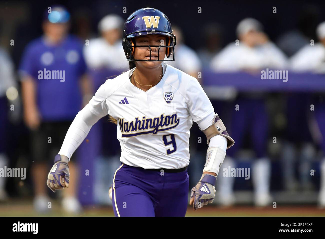 Madison huskey hi-res stock photography and images - Alamy