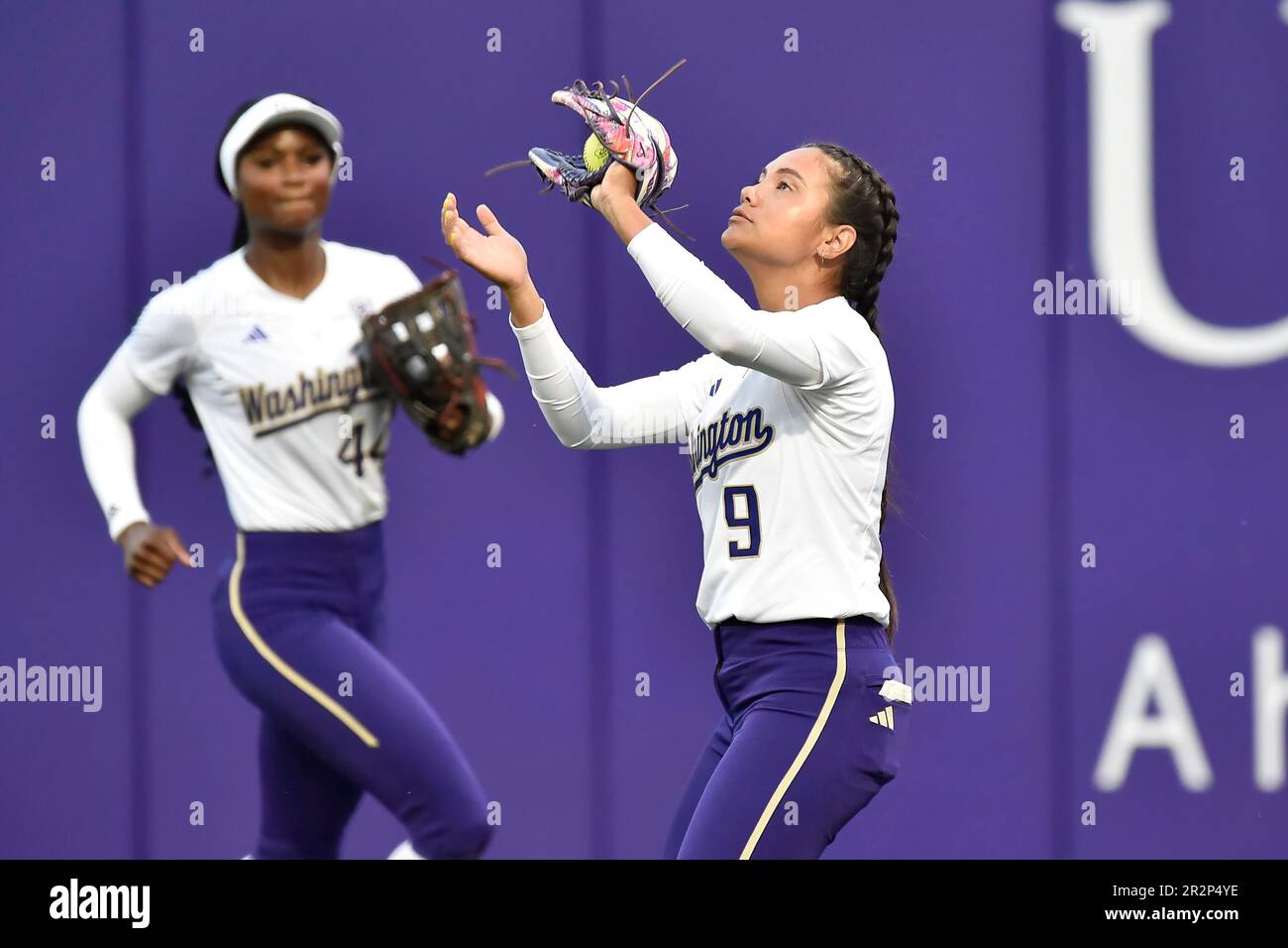 Madison huskey hi-res stock photography and images - Alamy