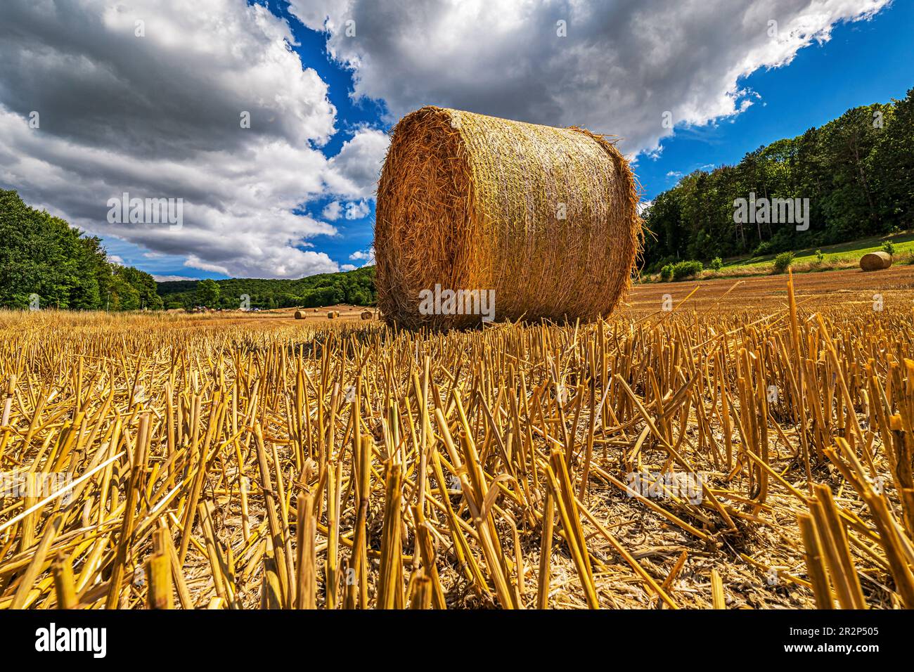 Shot low ground level hi-res stock photography and images - Alamy