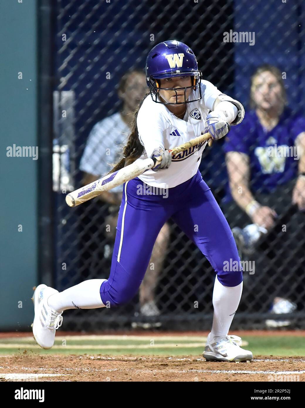 Madison huskey hi-res stock photography and images - Alamy