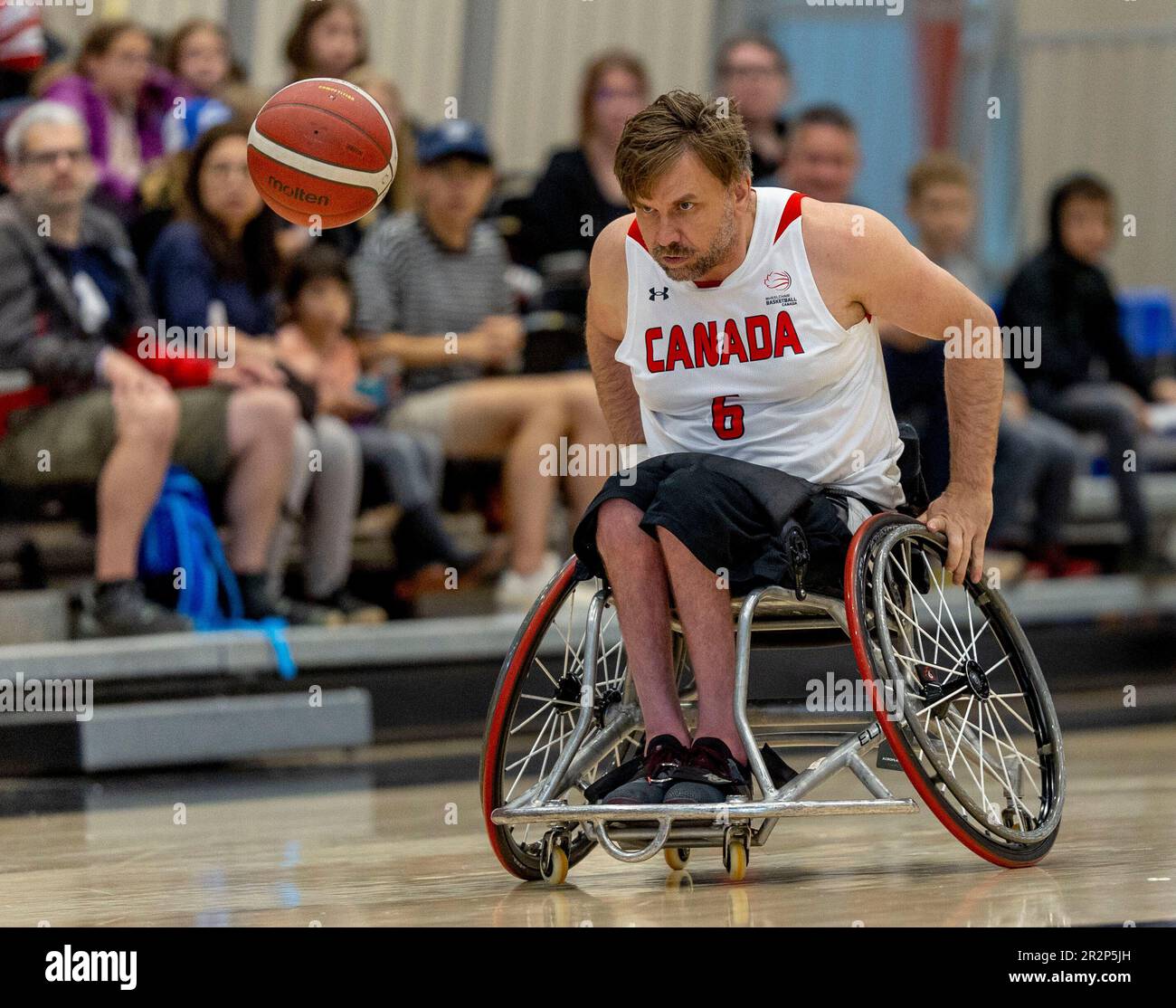 Ottawa Wheelchair at Elizabeth Simson blog