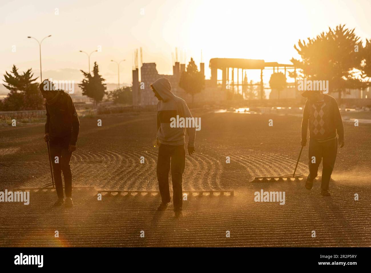 Syria traditional dish hi-res stock photography and images - Alamy