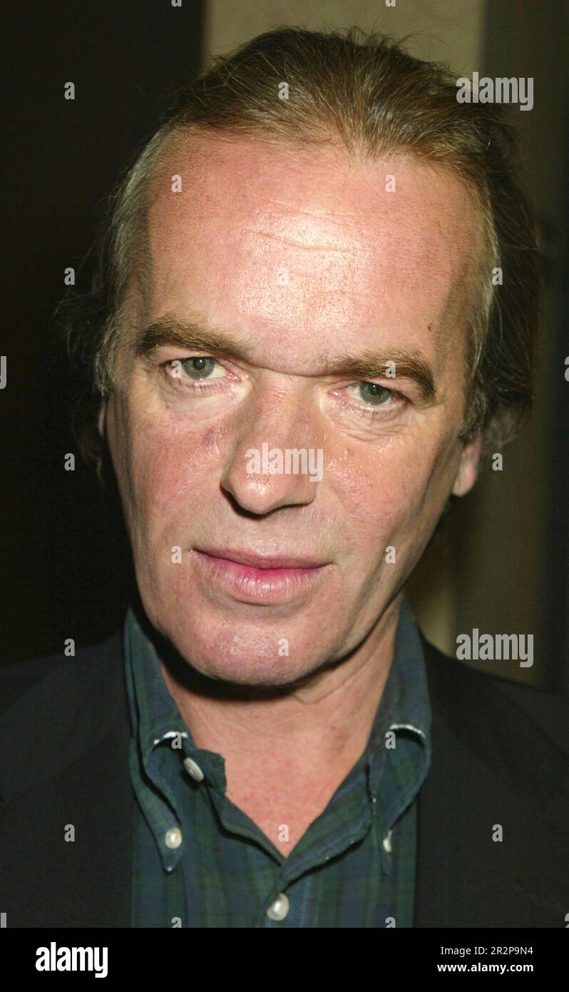 Yellow Dog Martin Amis