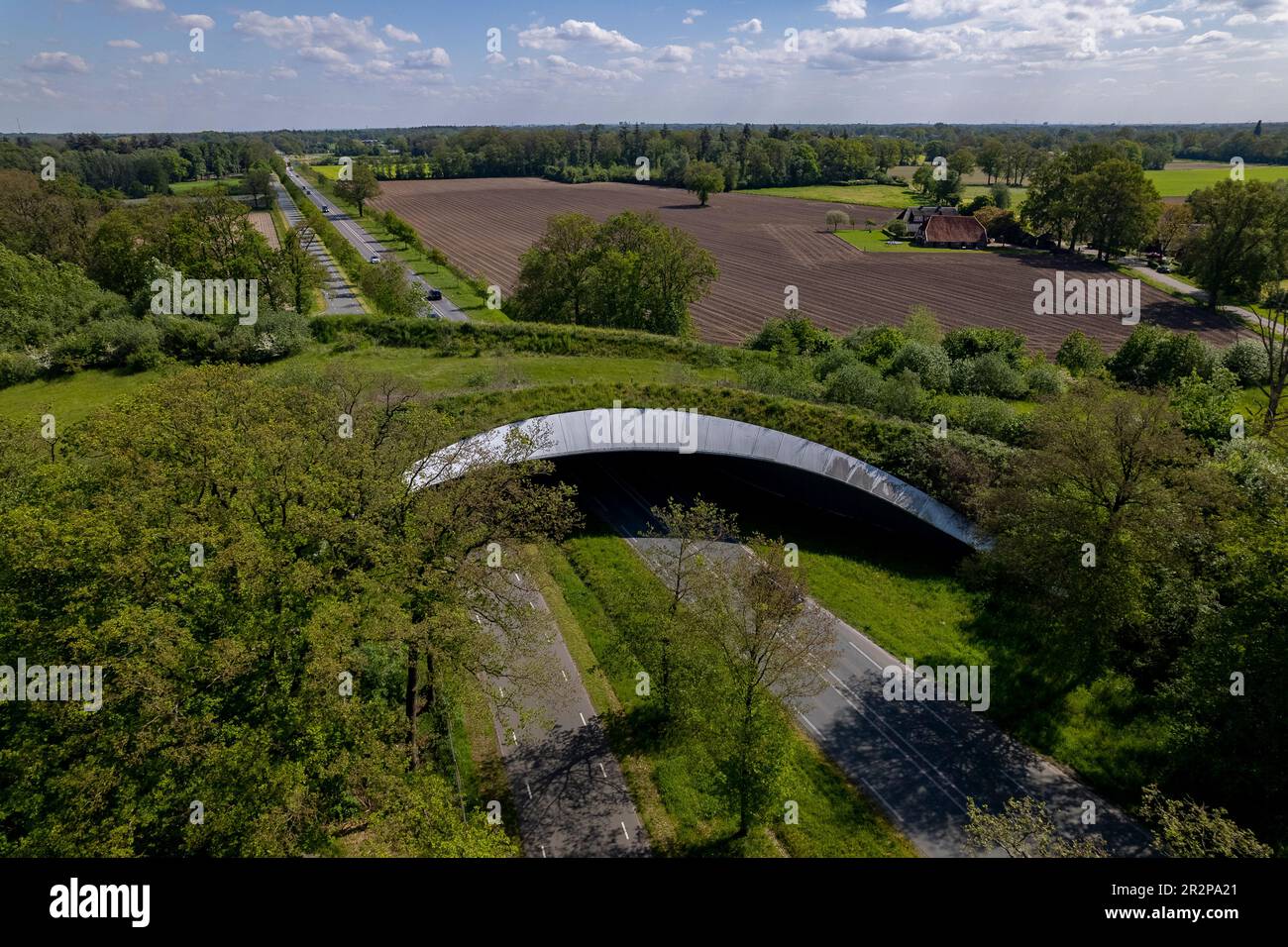 Aerial of road traversed by wildlife crossing forming a safe natural ...
