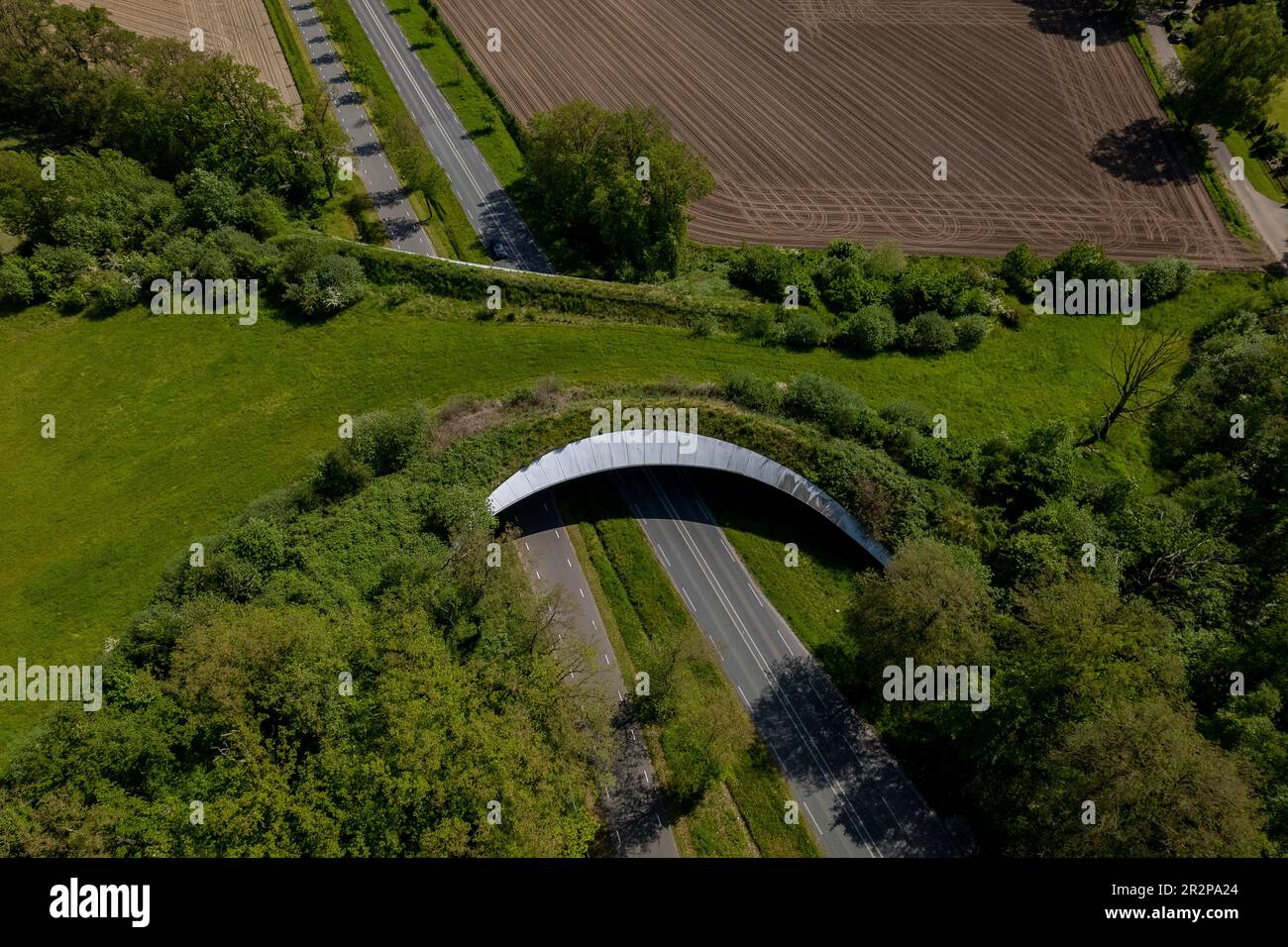 Aerial of road traversed by wildlife crossing forming a safe natural ...