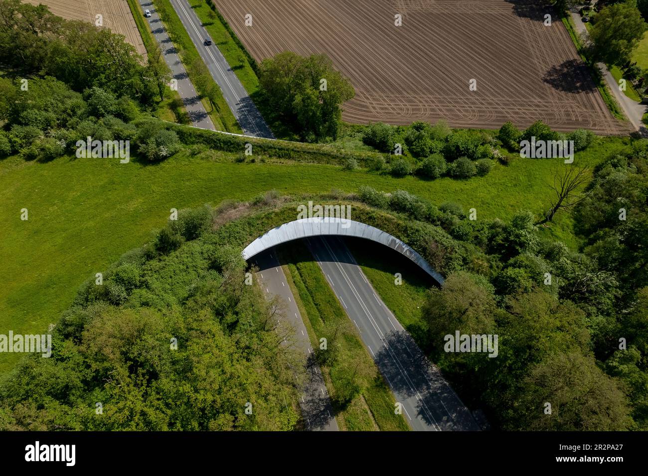 Aerial of road traversed by wildlife crossing forming a safe natural ...