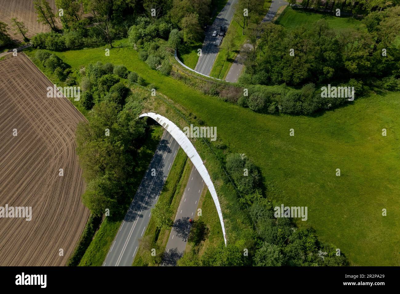 Aerial of road traversed by wildlife crossing forming a safe natural ...