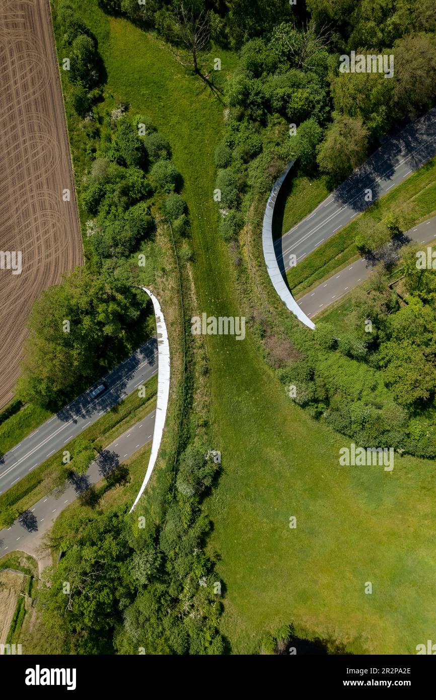 Aerial of road traversed by wildlife crossing forming a safe natural ...