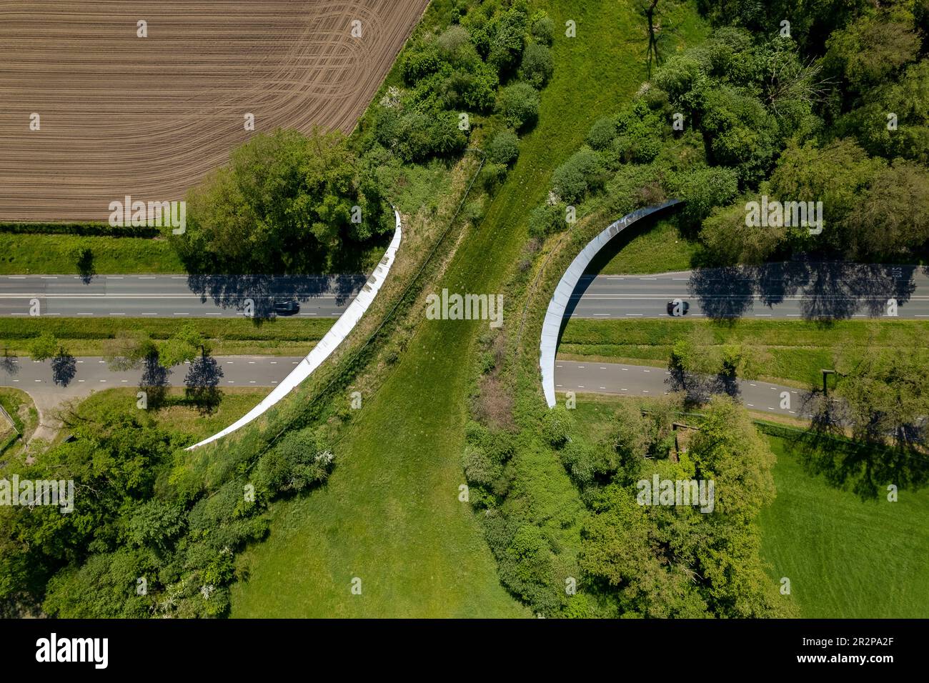 Aerial of road traversed by wildlife crossing forming a safe natural ...