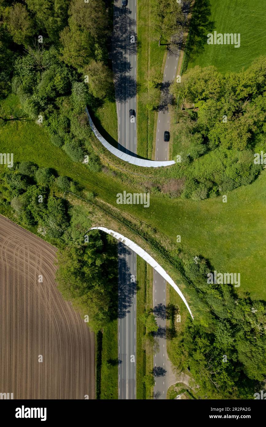 Aerial of road traversed by wildlife crossing forming a safe natural ...