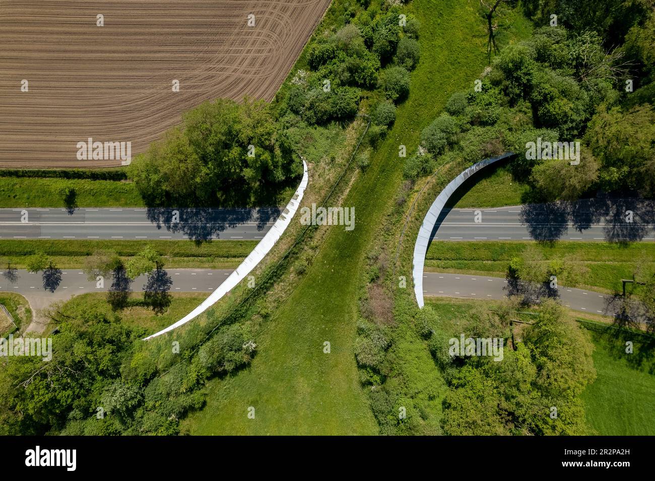 Aerial of road traversed by wildlife crossing forming a safe natural ...