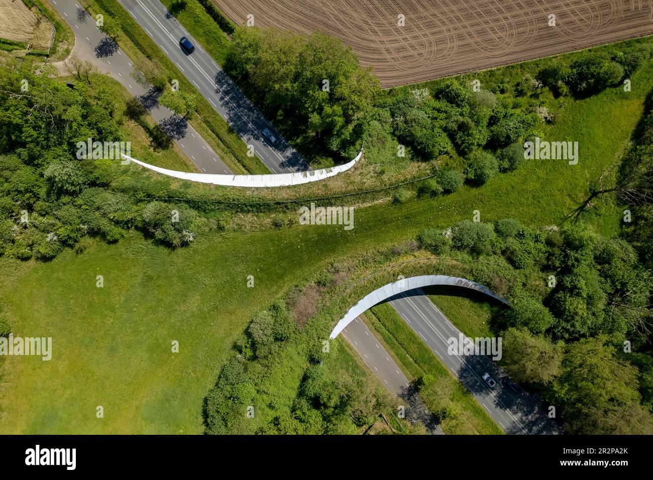 Aerial of road traversed by wildlife crossing forming a safe natural ...