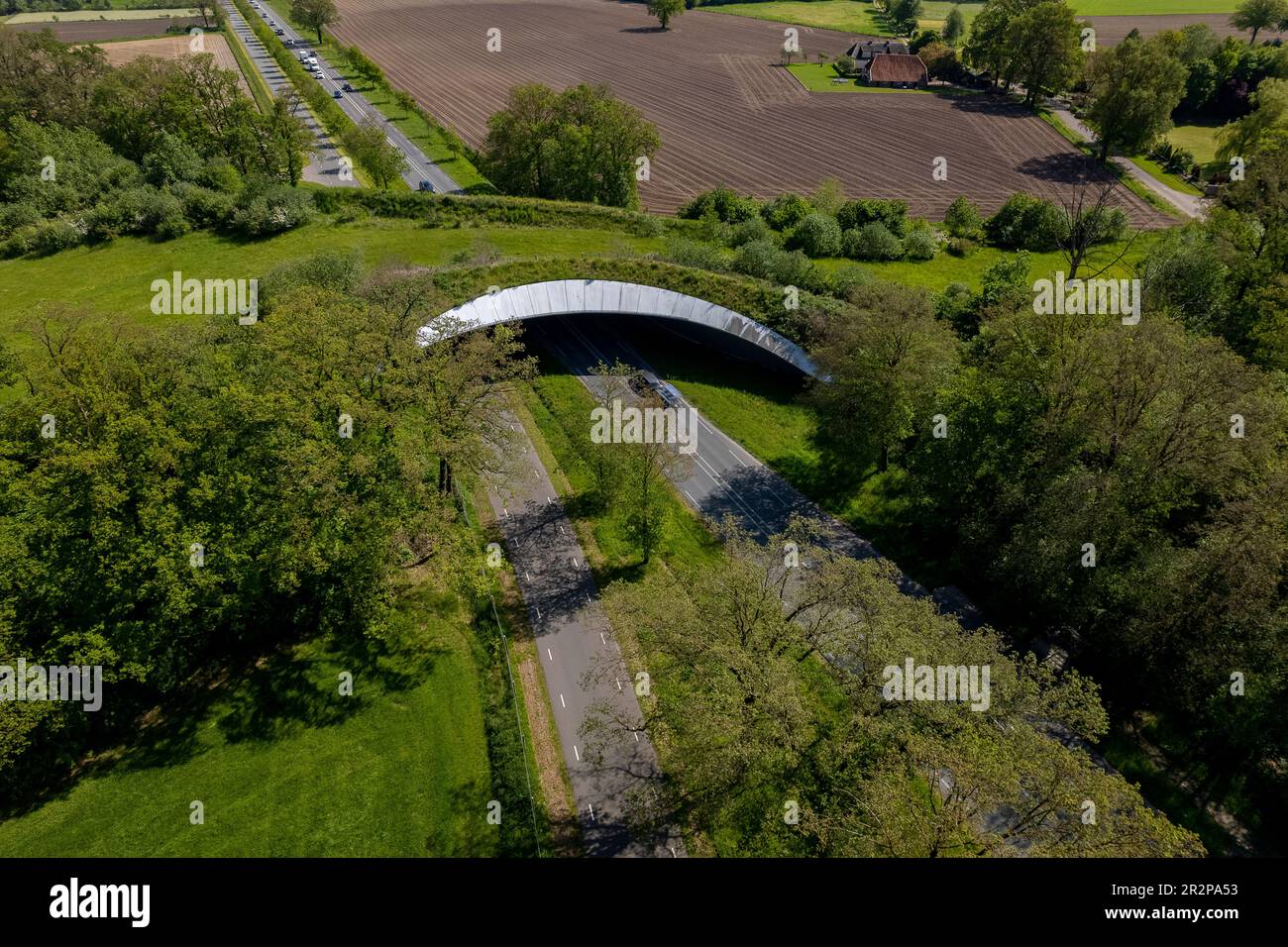 Aerial of road traversed by wildlife crossing forming a safe natural ...