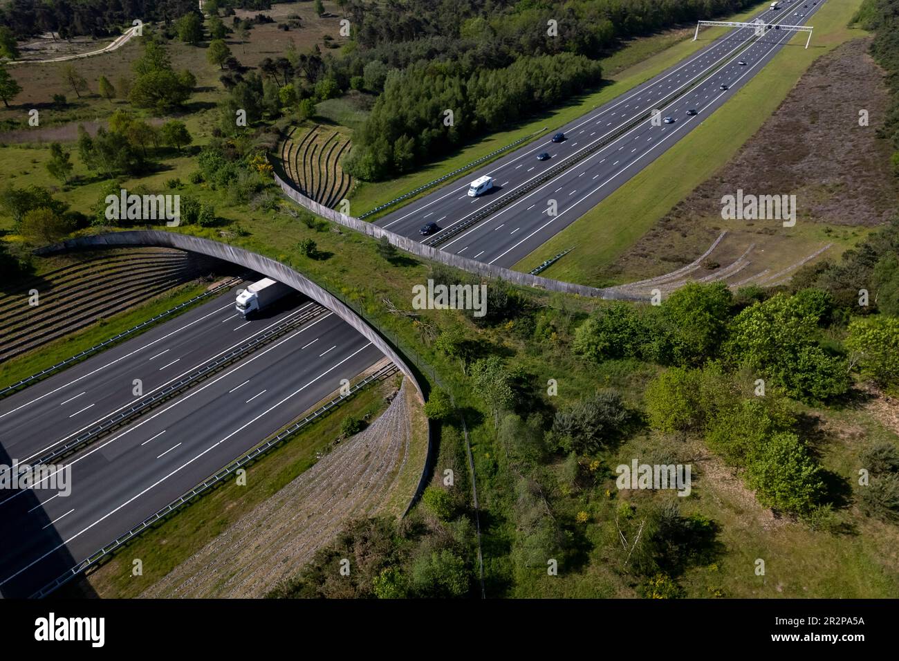Animal crossing road tunnel hi-res stock photography and images - Alamy