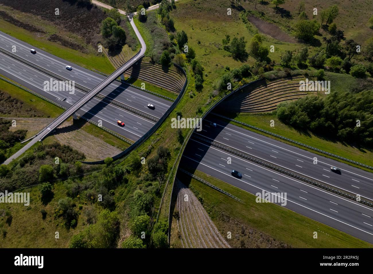Animal crossing road tunnel hi-res stock photography and images - Alamy
