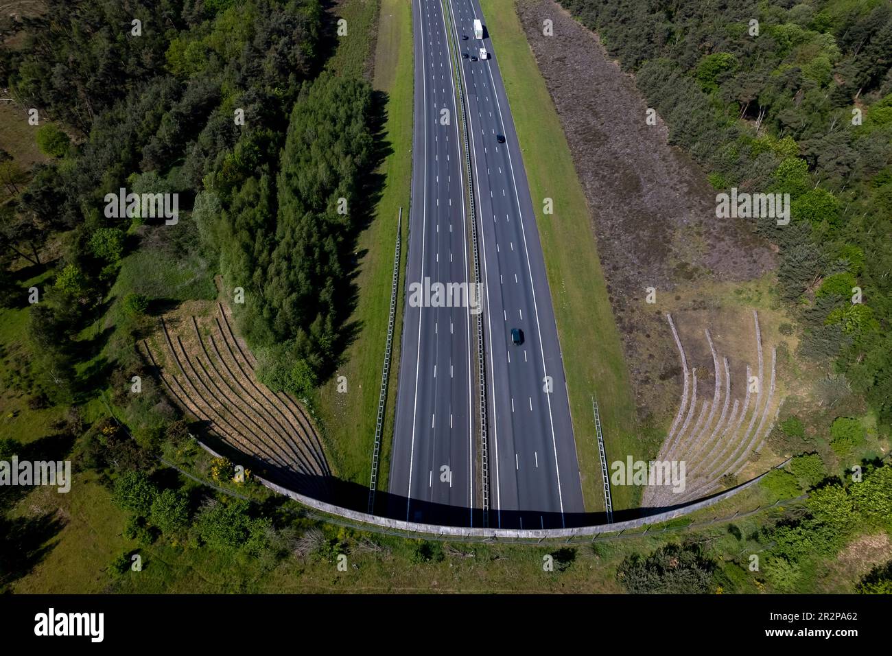 Road traversed by wildlife crossing forming a safe natural corridor ...
