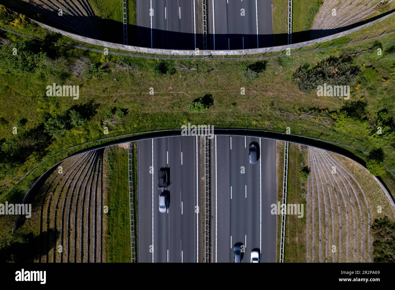 Animal crossing road tunnel hi-res stock photography and images - Alamy