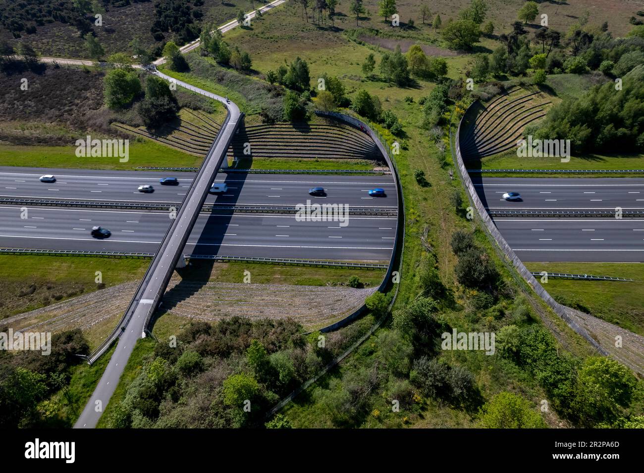 Road traversed by wildlife crossing forming a safe natural corridor ...
