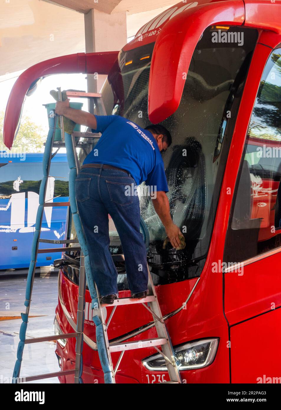 ADO bus station at Plaza Paseo 60 in centro district of Merida Yucatan ...