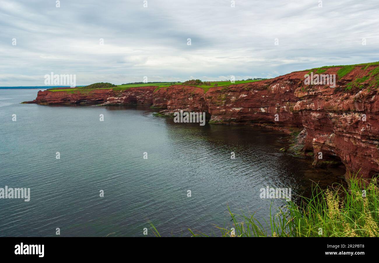Cape Tryon. Sandstone cliffs along the Gulf of Saint Lawrence, Atlantic ...
