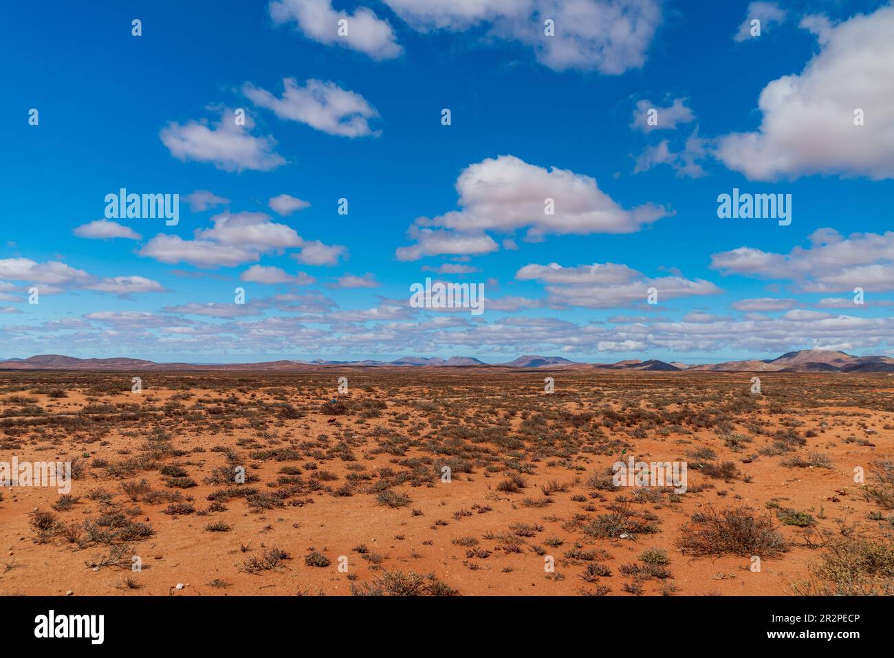 Wide arid African landscape with blue sky, clouds and yellow red dry ...