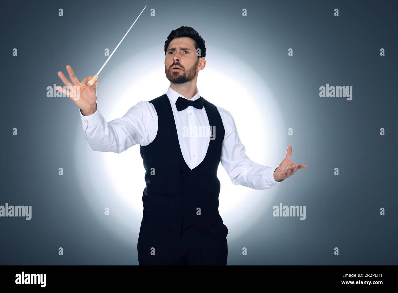 Professional conductor with baton on grey background Stock Photo - Alamy