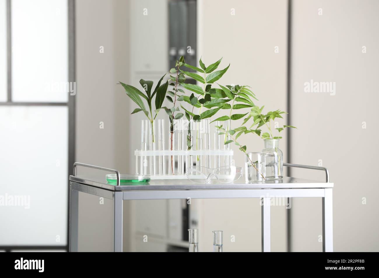 Sample plants in test tubes hi-res stock photography and images - Alamy