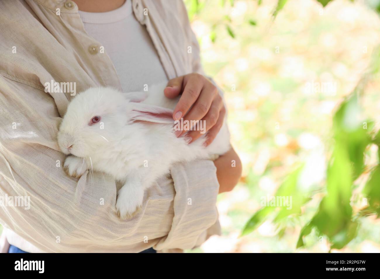 Owner holding white rabbit hi-res stock photography and images - Alamy